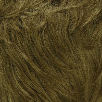 Dylan Wig by Paula Young > Natural Image Wigs